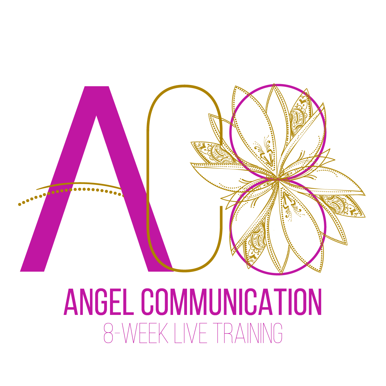 Want angel training but price too high? (We've made some BIG changes ...